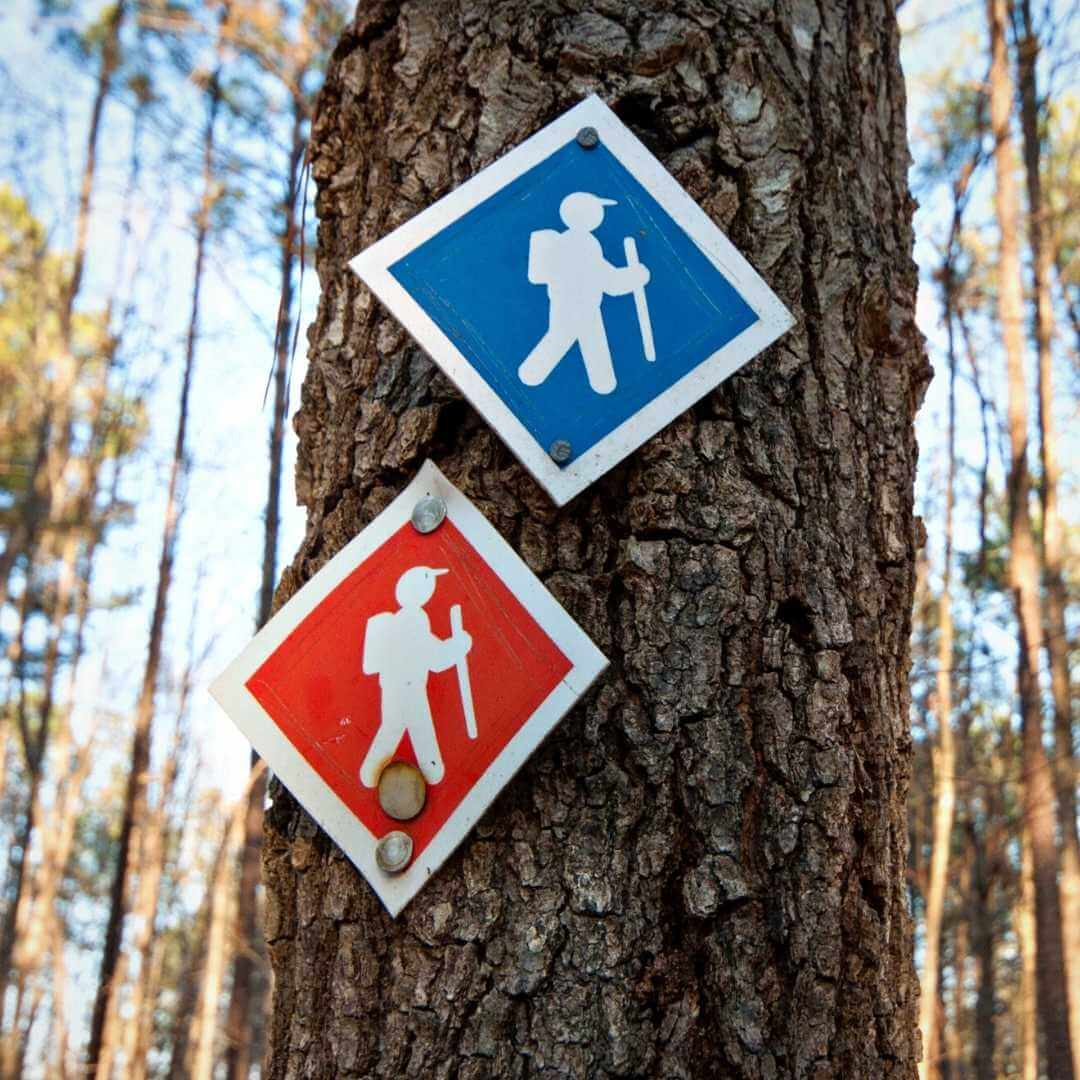 senderismo | Rumbo Naturaleza
