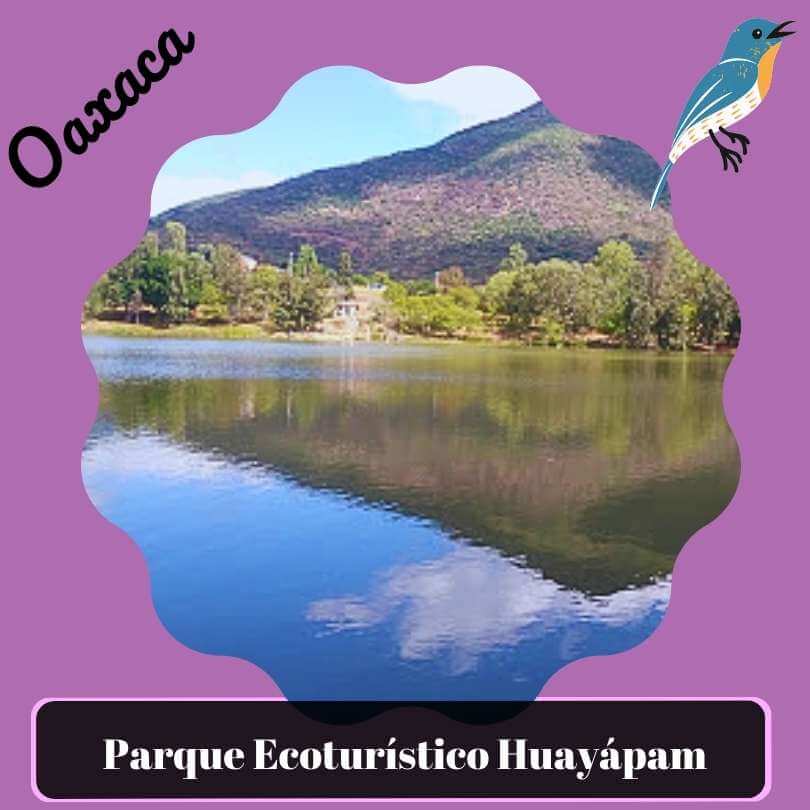 ecoturismo | Rumbo Naturaleza